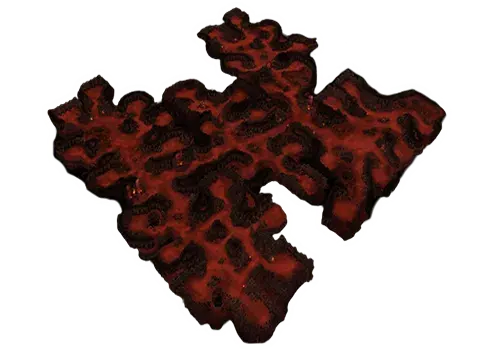 Bloody Tarkan Mu Online